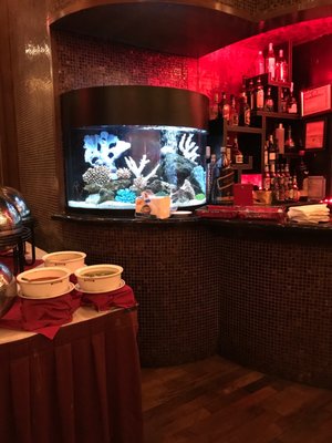NANKING RESTAURANT - 157 Photos & 374 Reviews - 2056 Hillside Ave, New ...
