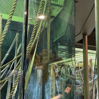 RACINE ZOO - Updated December 2025 - 134 Photos & 87 Reviews - 2131 N ...