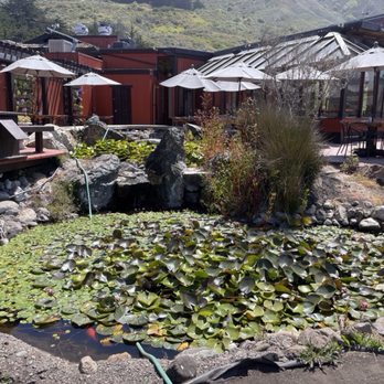 RAGGED POINT RESTAURANT - Updated December 2025 - 387 Photos & 318 ...