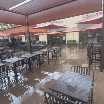 CLUCK KITCHEN - Updated May 2024 - 709 Photos & 636 Reviews - 17915 ...