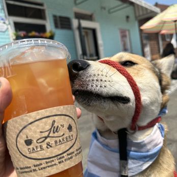 LU’S CAFE & BAKERY - Updated November 2025 - 72 Photos & 62 Reviews - 384 Essex St, Lawrence ...