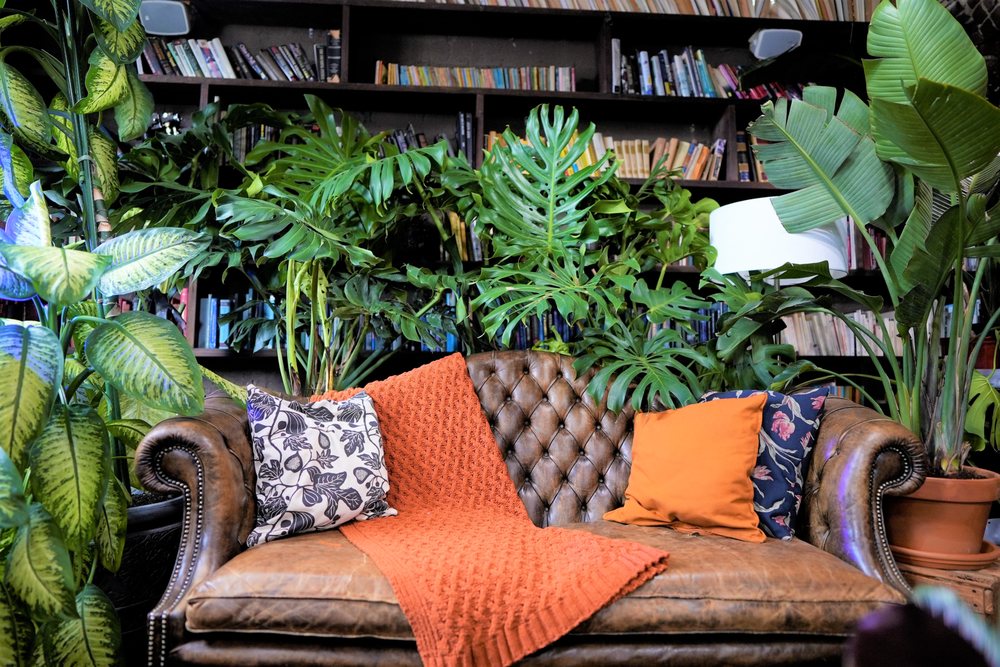 TROPICAL EXPRESS - Updated October 2025 - 18 Photos - 970 Jefferson St ...