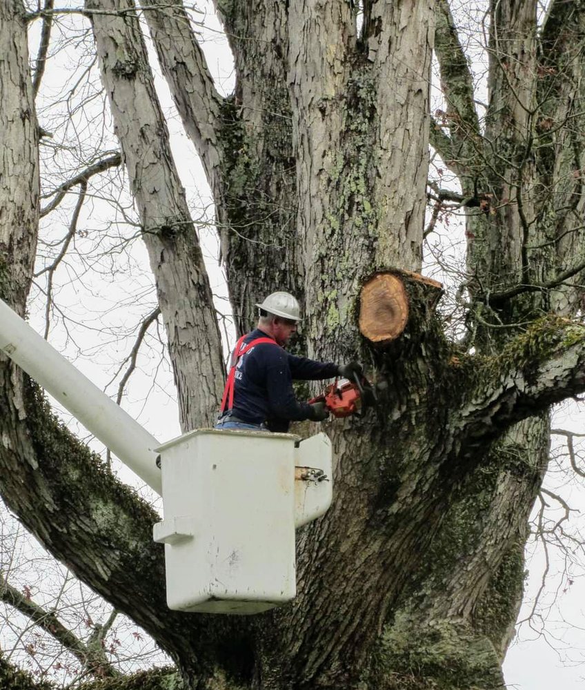 RON RABY TREE & LANDSCAPE - Updated March 2025 - 15 Photos - 1374 Smith ...