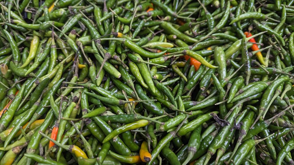 DK MARKET - Updated May 2026 - 250 Photos & 156 Reviews - 720 Lind Ave ...