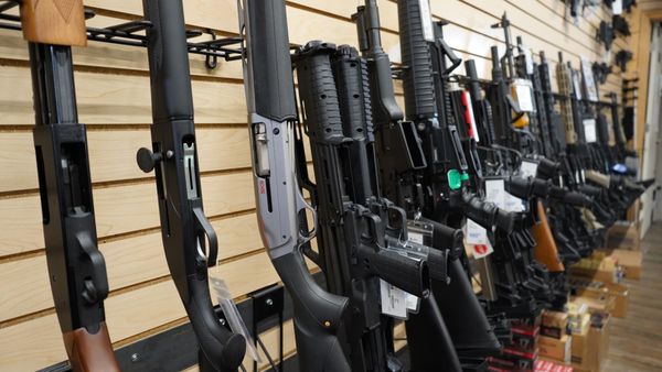 INTEGRITY FIREARMS - Updated October 2025 - 19 Photos & 14 Reviews ...