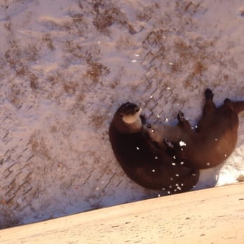 RED RIVER ZOO - Updated November 2024 - 174 Photos & 36 Reviews - 4255 ...