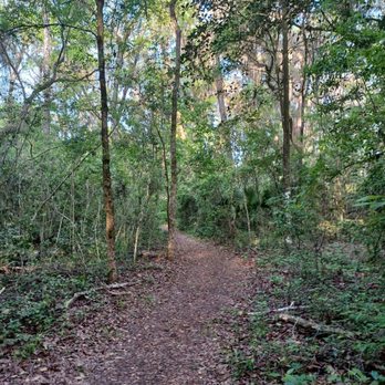 BIVENS ARM NATURE - Updated December 2025 - 44 Photos - 3650 S Main St ...