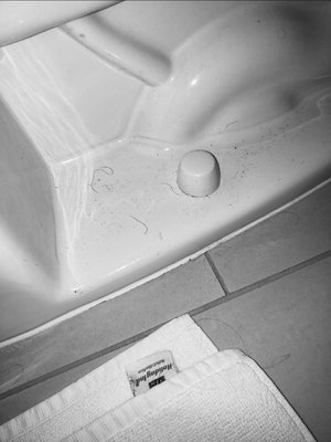 HOLIDAY INN ST LOUIS SW - ROUTE 66 - Updated October 2024 - 64 Photos ...