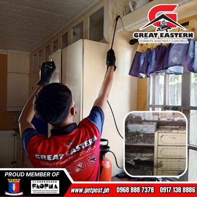 GREAT EASTERN TERMITE & PEST CONTROL SERVICES - Updated July 2024 - 160 ...