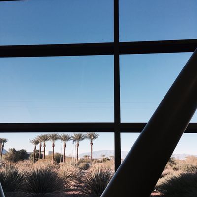 PASEO VERDE LIBRARY - Updated July 2025 - 110 Photos & 97 Reviews - 280 ...