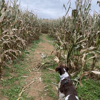 BI WATER FARM & GREENHOUSE - Updated October 2025 - 47 Photos & 26 ...