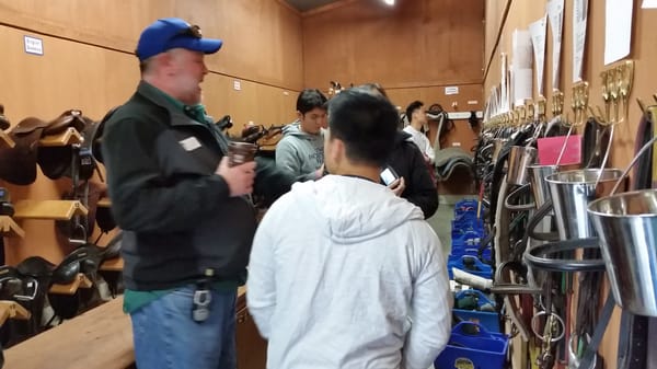 LITTLE BIT THERAPEUTIC RIDING CENTER - Updated June 2026 - 45 Photos ...