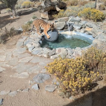 ANIMAL ARK - Updated July 2025 - 514 Photos & 158 Reviews - 1265 ...