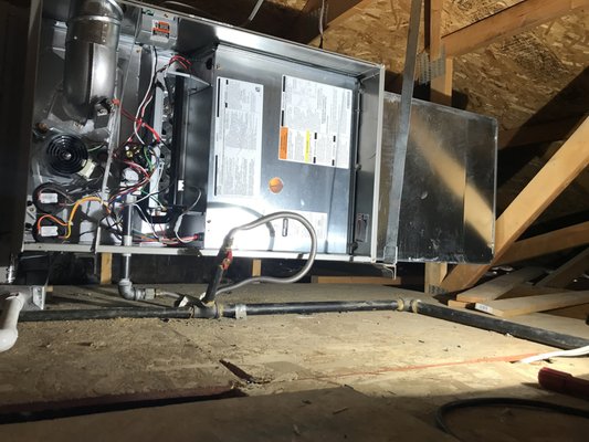 STEVE’S ULTIMATE AIR - Updated January 2026 - 22 Photos & 86 Reviews ...