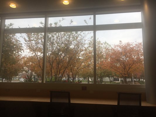 UC DAVIS BLAISDELL MEDICAL LIBRARY - Updated July 2025 - 12 Photos & 10 ...