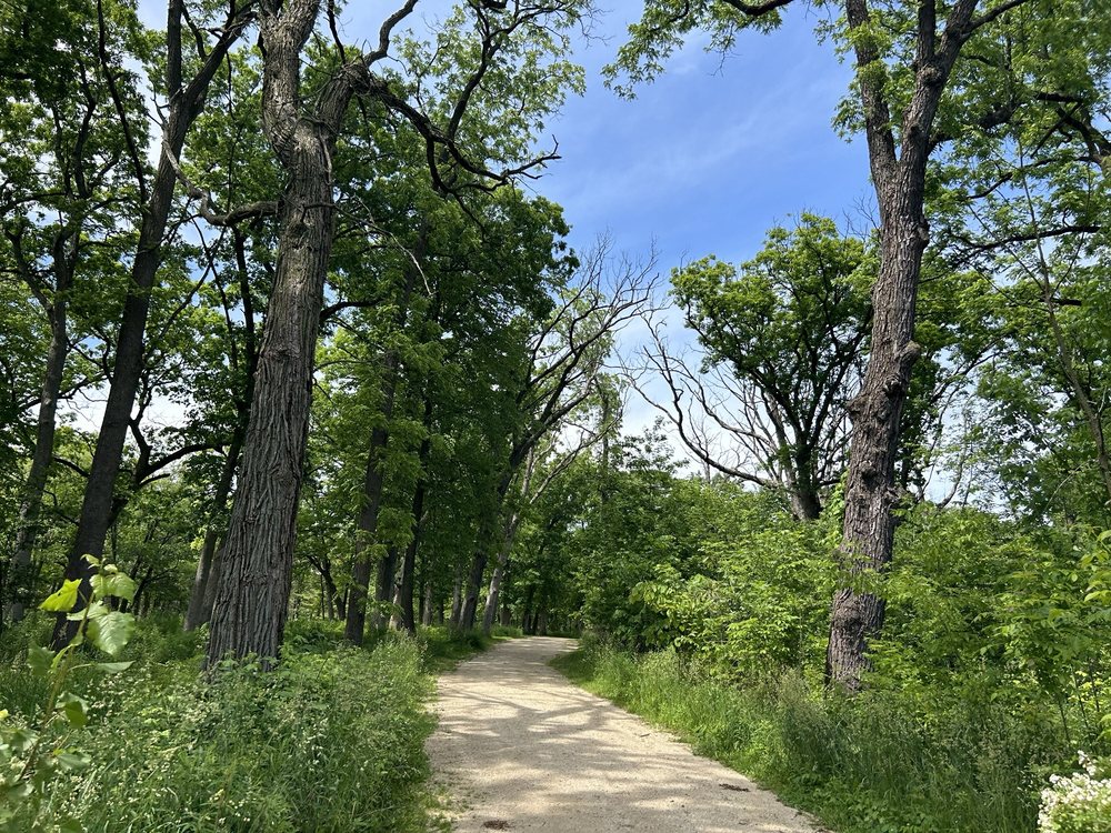 VAN PATTEN WOODS FOREST PRESERVE - Updated October 2025 - 45 Photos ...