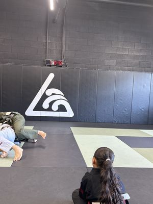 FLOW STATE JIU-JITSU - Updated January 2026 - 16 Reviews - 2750 ...