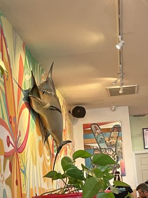 SHARK SHACK BEACH BAR & GRILL - Updated May 2024 - 1023 Photos & 1062 ...