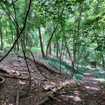 SKILES TEST NATURE PARK - Updated January 2026 - 32 Photos & 10 Reviews ...