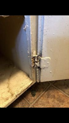 REGENCY MANAGEMENT INC - 40 Photos & 74 Reviews - 4900 Santa Anita Ave ...