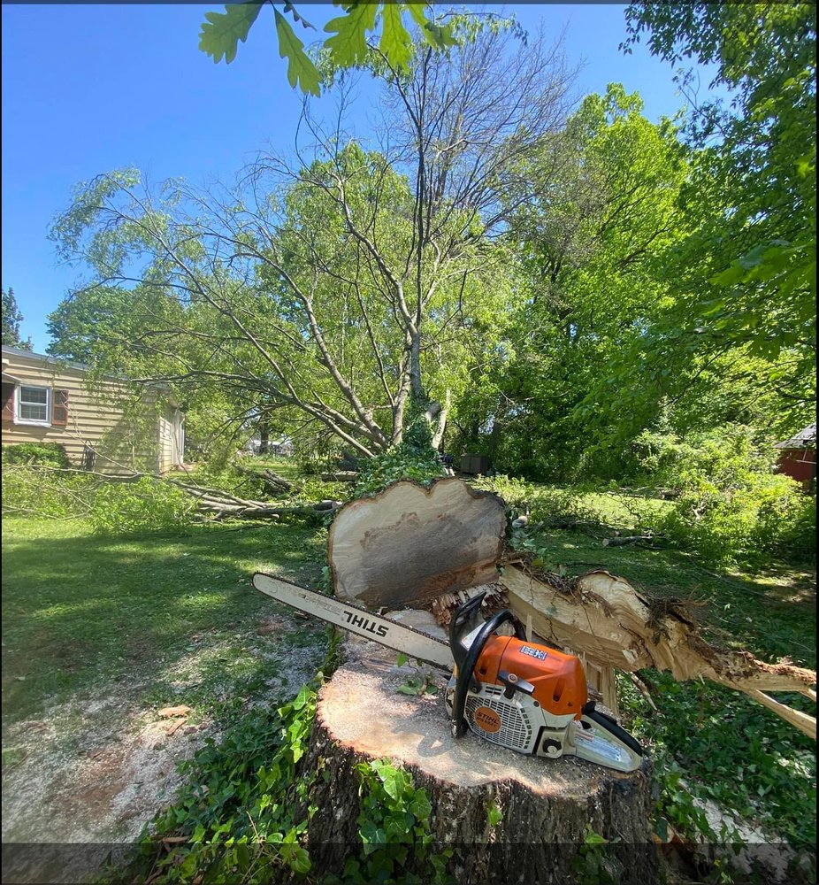 TREES R US - Updated January 2025 - 10 Photos - Winston-Salem, North ...