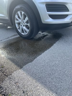 HOMESTEAD HYUNDAI - Updated November 2025 - 13 Photos & 34 Reviews ...