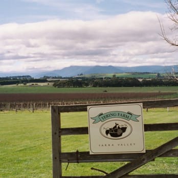 YERING FARM WINES - Updated October 2025 - 22 Photos - St Huberts Rd ...