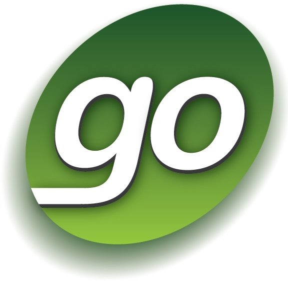 GO INSURANCE & FINANCIAL SERVICES - Updated July 2025 - Request a Quote ...