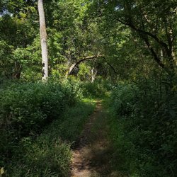 MILL HOLLOW VERMILION RIVER RESERVATION - 30 Photos & 11 Reviews ...