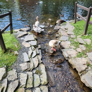 BRIGHT NIGHTS AT FOREST PARK - Updated March 2025 - 156 Photos & 51 ...