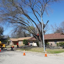 AFFORDABLE TREE CARE - 36 Photos & 19 Reviews - 13904 Josey Ln, Dallas ...