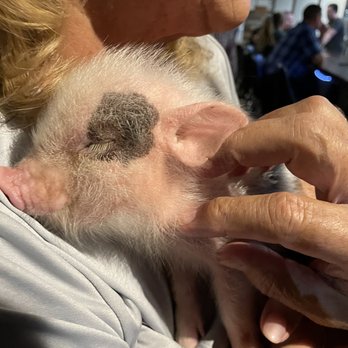 SILURIA BREWING COMPANY - Updated October 2025 - 104 Photos & 47 ...