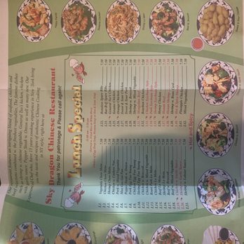 SKY DRAGON CHINESE RESTAURANT - Updated March 2025 - 38 Photos & 184 ...