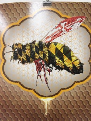 AREA 405 - Updated July 2025 - 10 Photos - 405 E Oliver St, Baltimore ...