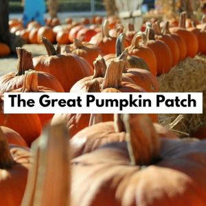 PATCHEN PUMPKIN PATCH - Updated October 2025 - 108 Photos & 43 Reviews ...