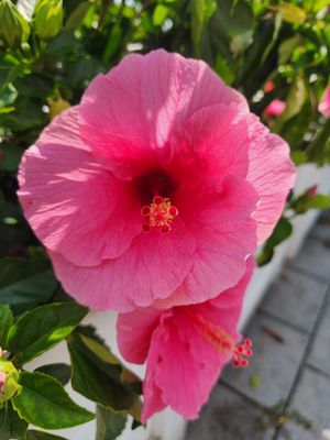 EVENTIDE GRILLE - Updated November 2025 - 175 Photos & 226 Reviews ...