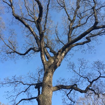 JOSEPH E. DEVOY PLAYGROUND - Updated August 2025 - 11 Photos - 101-98 ...