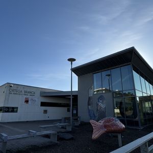 MISSION BAY BRANCH LIBRARY - Updated May 2025 - 41 Photos & 61 Reviews ...