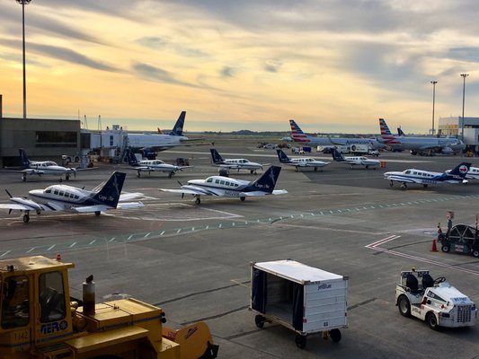 CAPE AIR - Updated May 2024 - Yelp