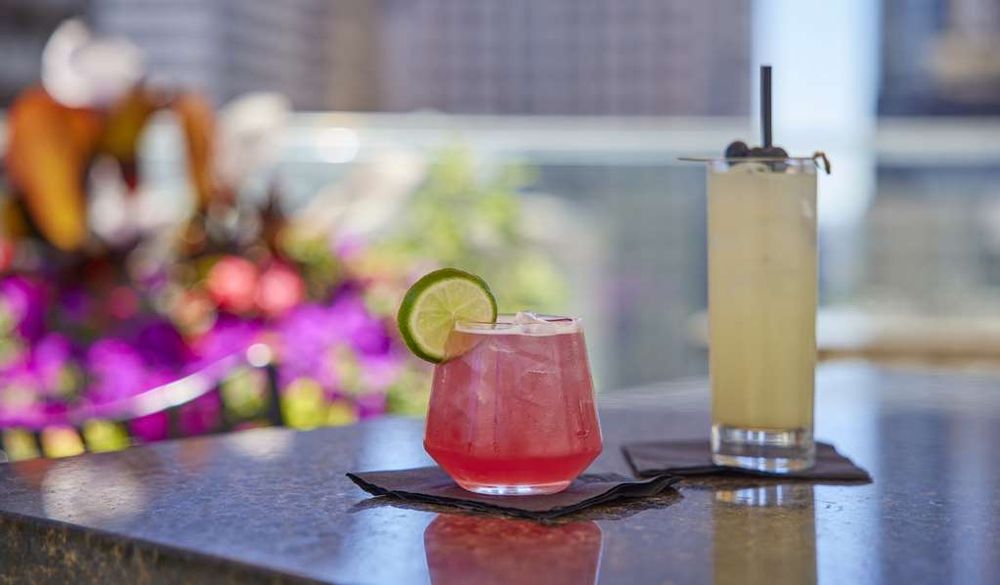 HYATT CENTRIC THE LOOP CHICAGO - Updated January 2026 - 406 Photos ...