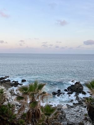 ESTRELLA RESTAURANTE - Updated May 2026 - 288 Photos & 94 Reviews ...