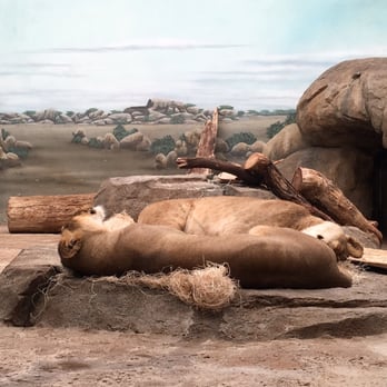 MILWAUKEE COUNTY ZOO - Updated October 2025 - 939 Photos & 297 Reviews ...