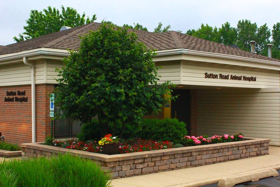 SUTTON ROAD ANIMAL HOSPITAL - Updated December 2025 - 14 Photos & 39 ...