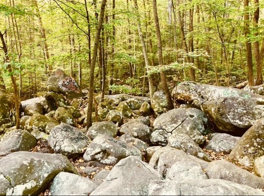 ST. PETER’S VILLAGE - Updated October 2025 - 44 Photos & 12 Reviews ...