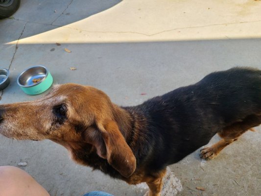 REDLANDS POLICE STATION - Updated April 2024 - 12 Photos & 16 Reviews ...