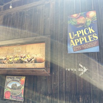 RILEY’S FARM - Updated December 2024 - 910 Photos & 434 Reviews - 12261 ...