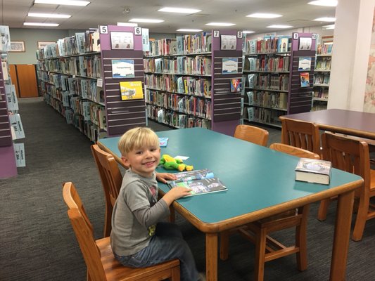 ARCADIA PUBLIC LIBRARY - Updated July 2024 - 81 Photos & 130 Reviews ...