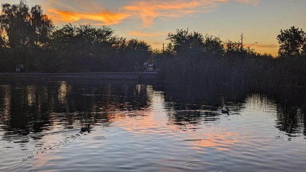 RIPARIAN PRESERVE AT WATER RANCH - Updated January 2025 - 722 Photos ...