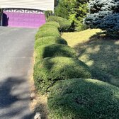 ACME STOVE - Updated December 2025 - 16 Reviews - 2245 Seminole Ln ...