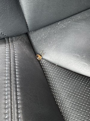 STG AUTO GROUP - Updated December 2025 - 26 Photos & 12 Reviews - 3333 ...